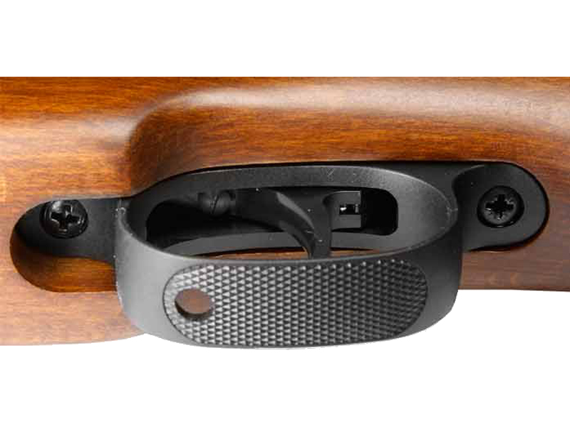 RWS Model 350 Magnum Airgun Pellet Rifle | Replicaairguns.us