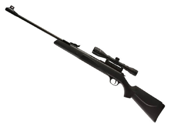 RWS Model 34 Panther Airgun Pellet Rifle with Scope | Replicaairguns.us