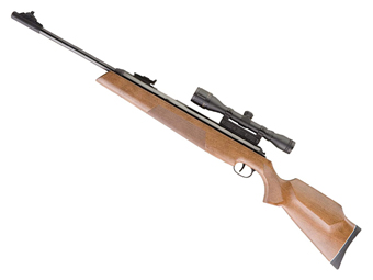 RWS Model 54 Combo Air King Sidelever Action Pellet Rifle with Scope ...